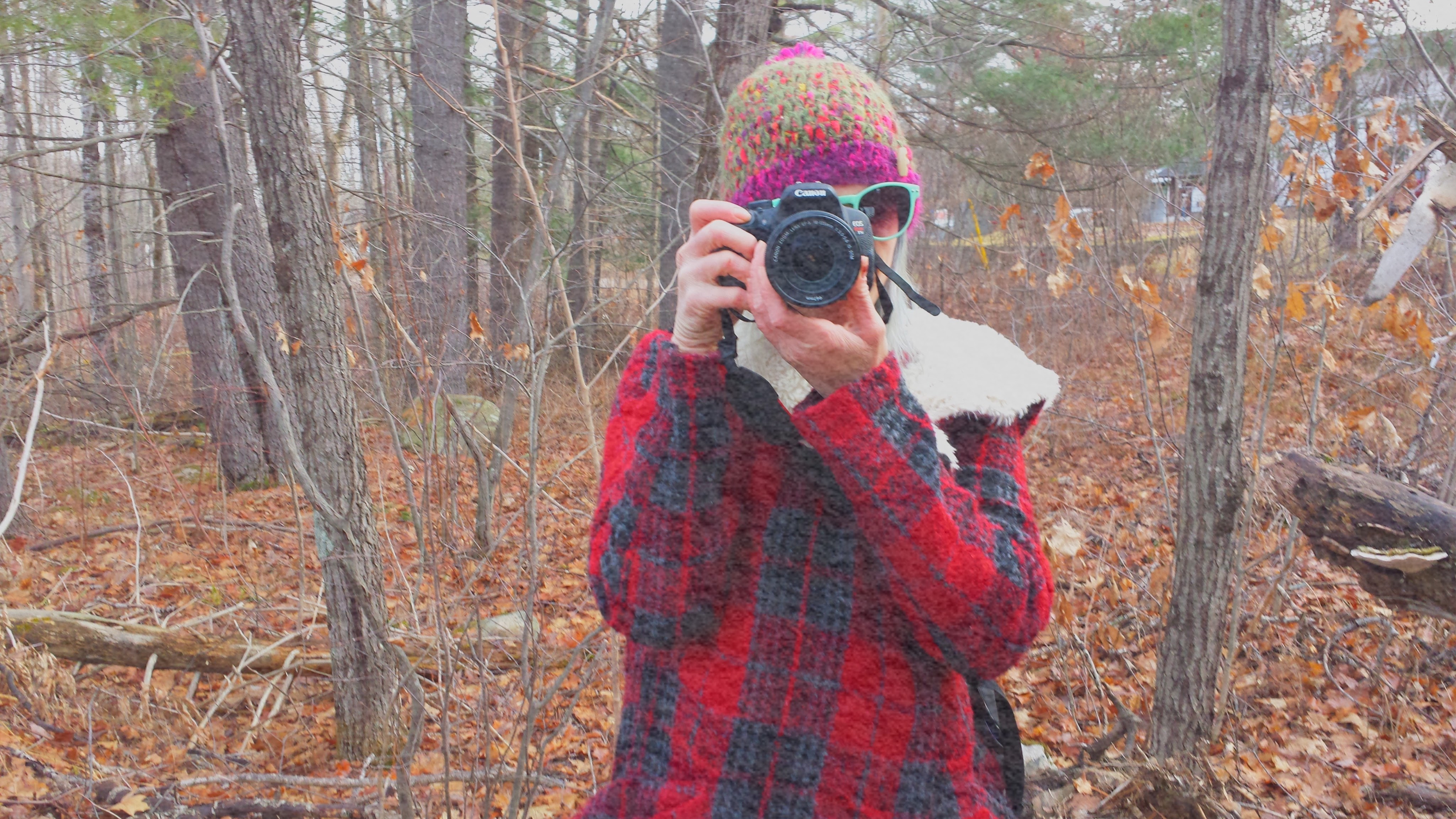 Who am I, really? Part I Psychology – vehemence & emergence