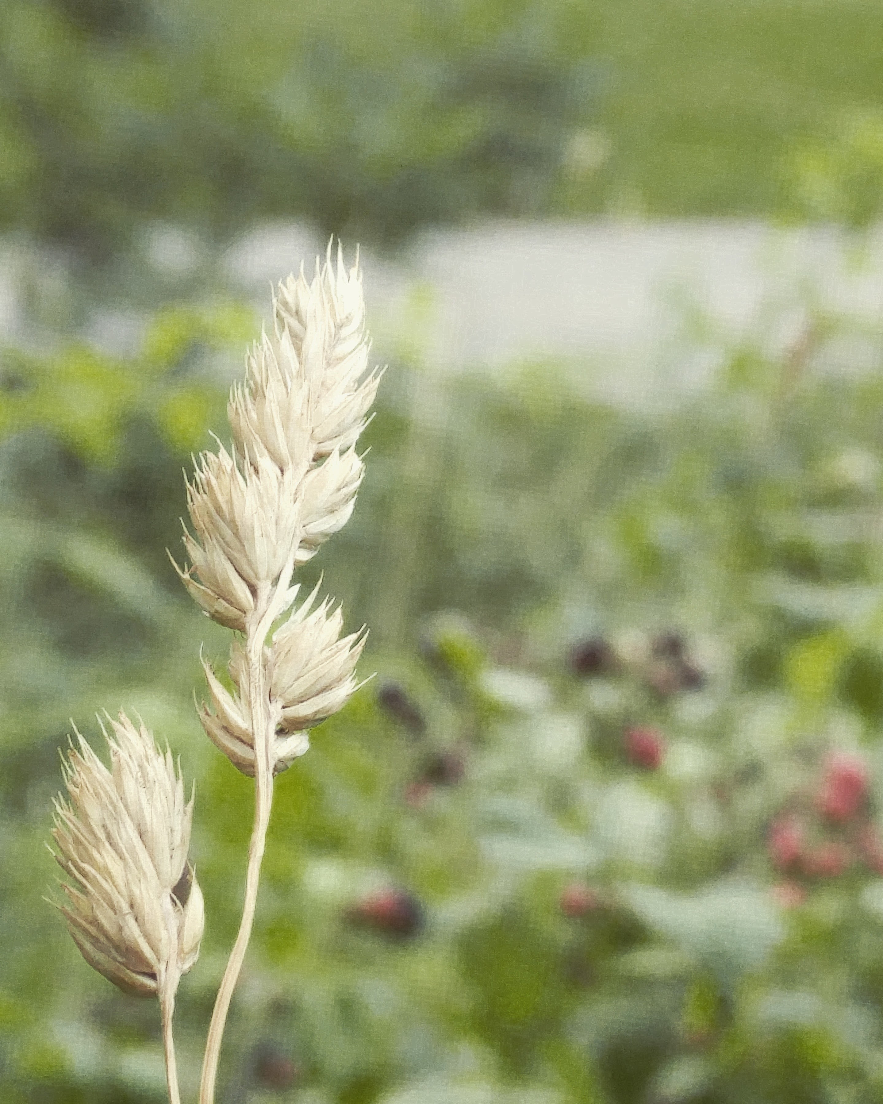 What good is one glove, without the other? – vehemence & emergence