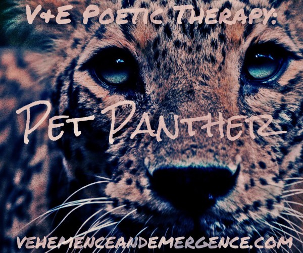 Animal Omens: Skunk – vehemence & emergence