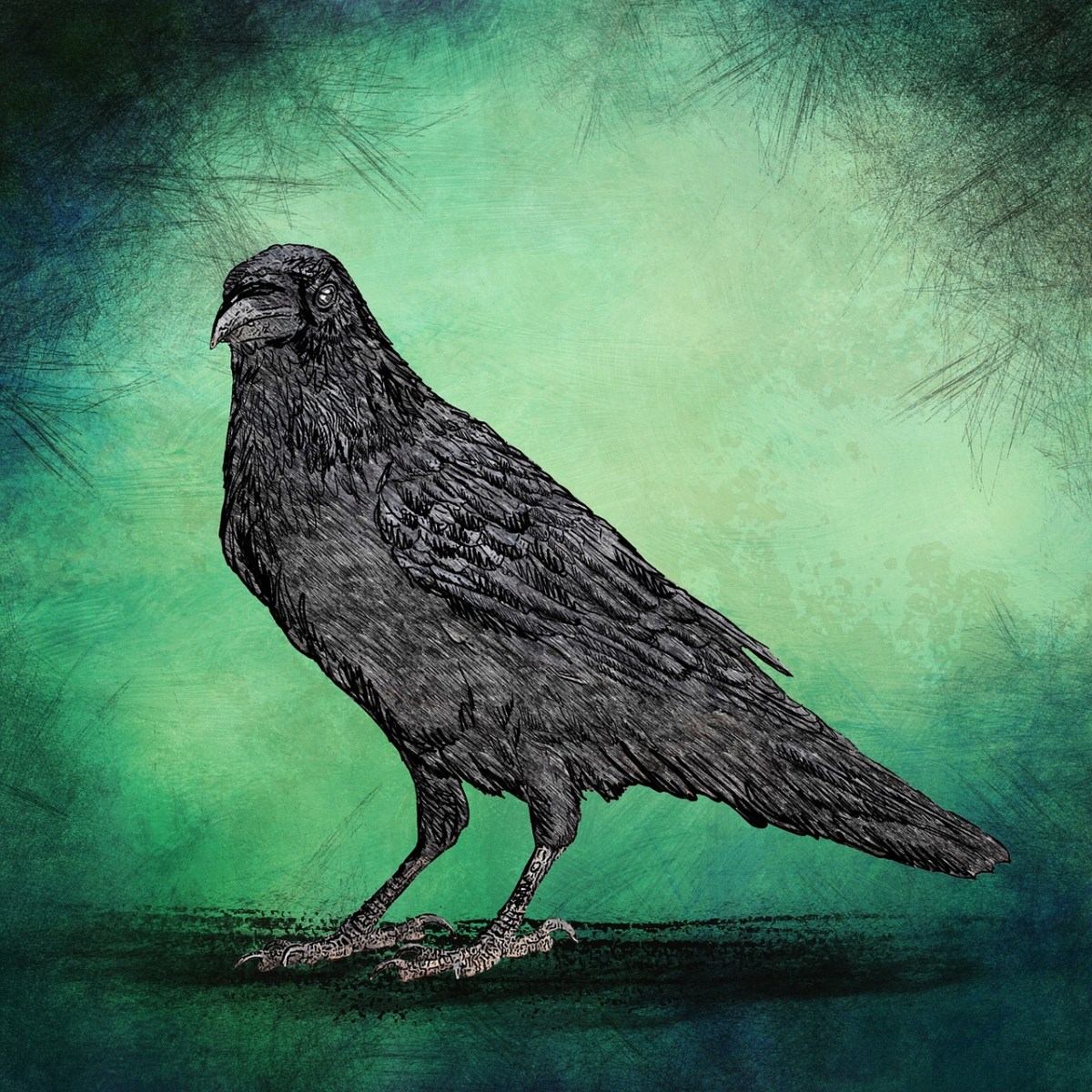 V&E Animal Omens: Crow – vehemence & emergence